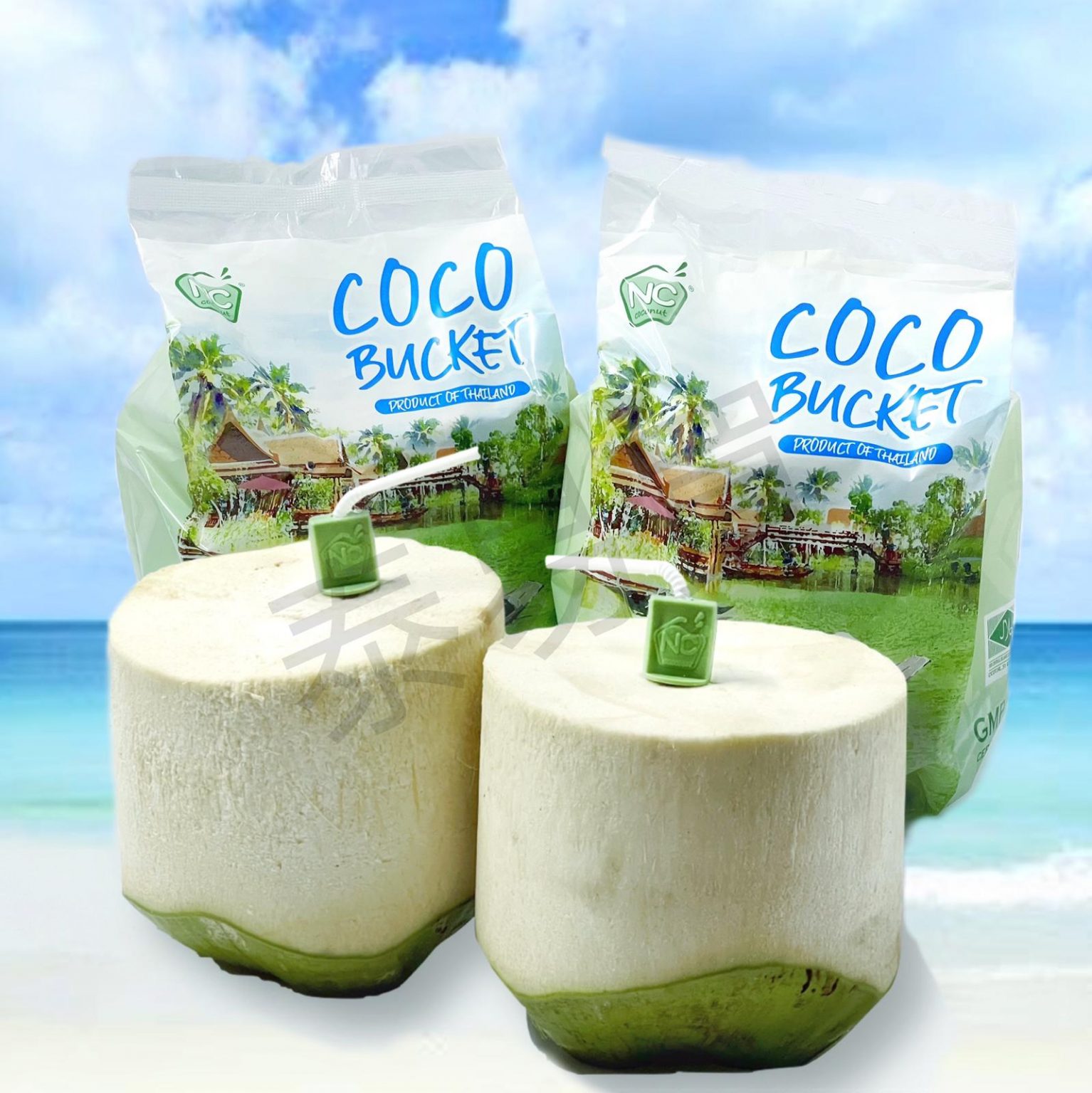 COCO Bucket 椰青 | 泰易買